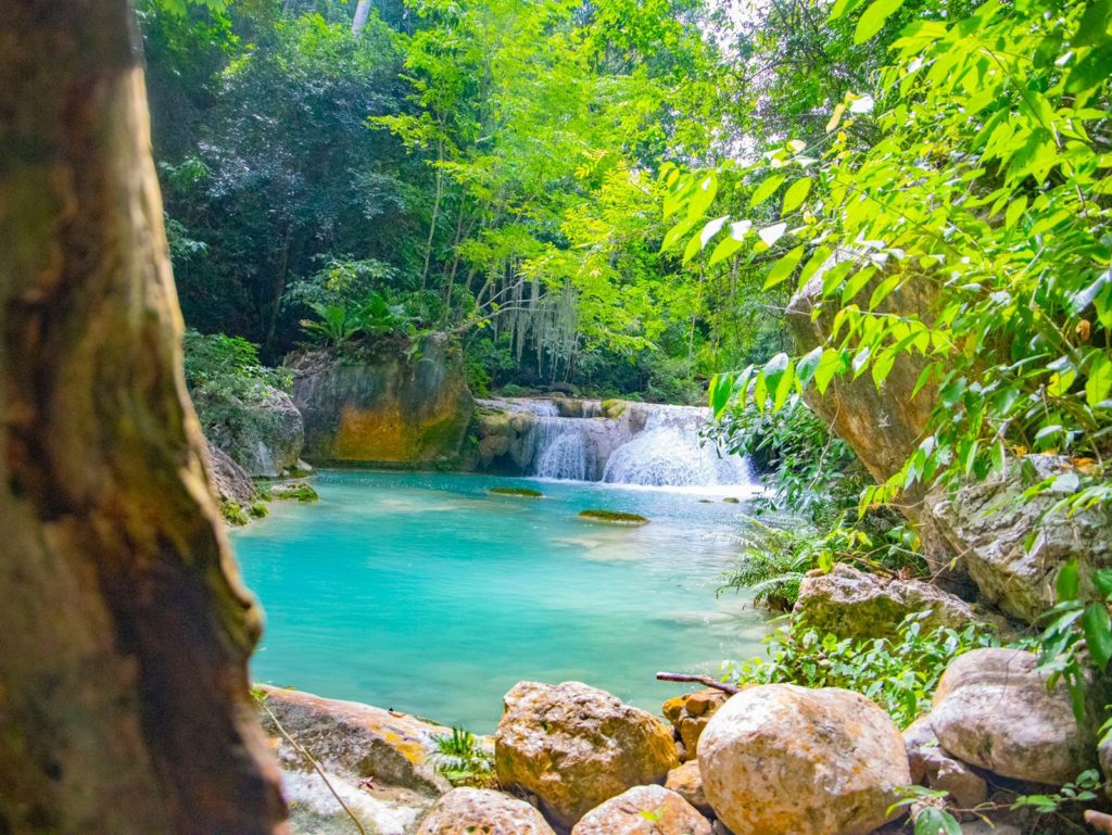 Tour Montes de Oca: Caminata Ecológica – Sashii Tours, Hostel ...